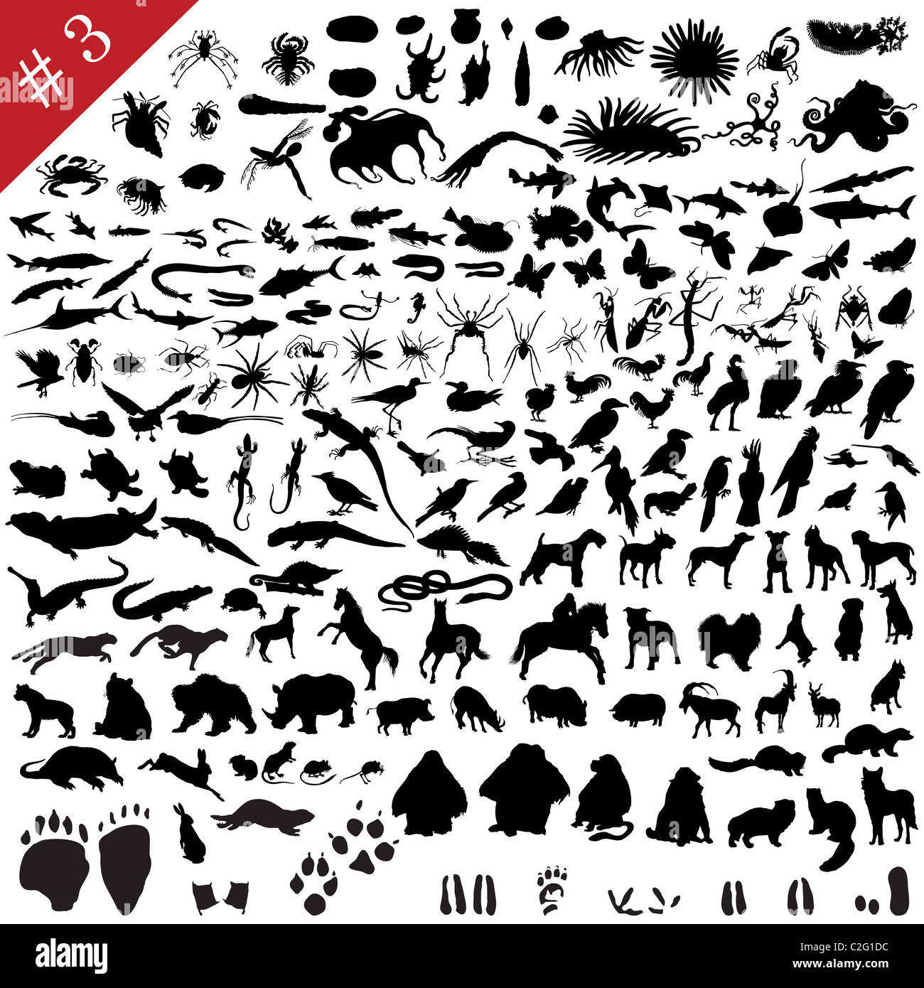# 3 set of different animals, birds, insects and fishes vector ...