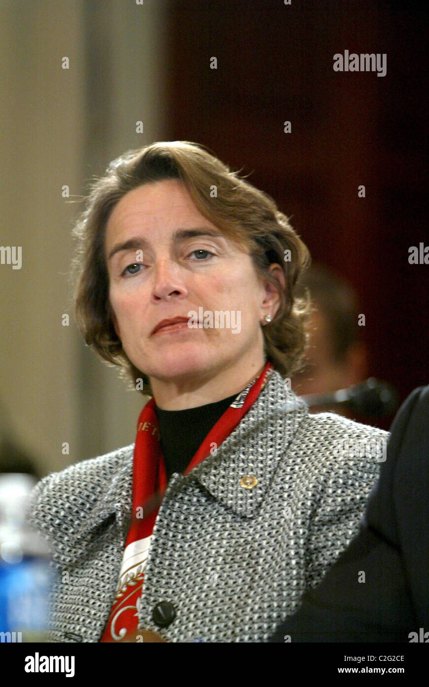 The Honorable Blanche Lincoln A special task force recommends an ...