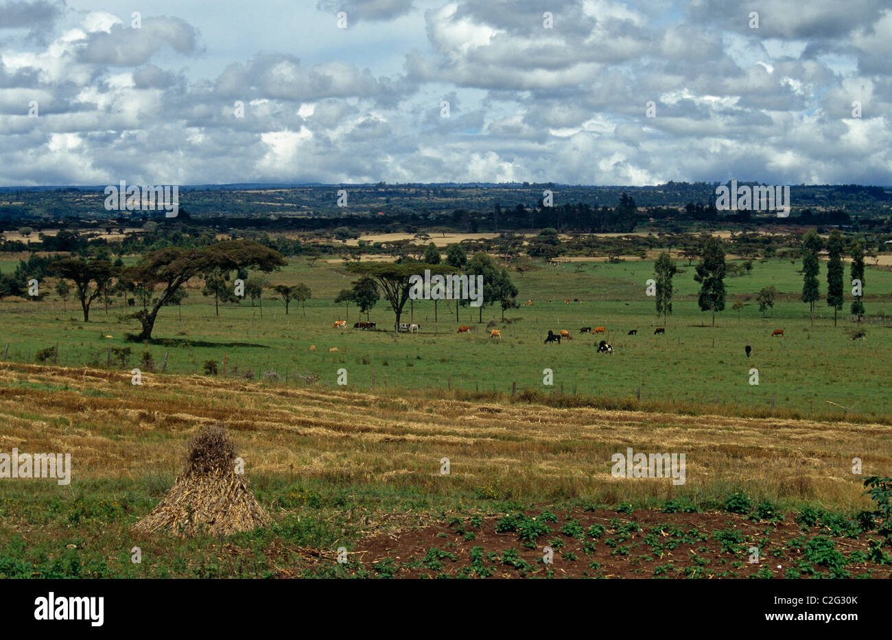 Highlands Kenya Stock Photo - Alamy