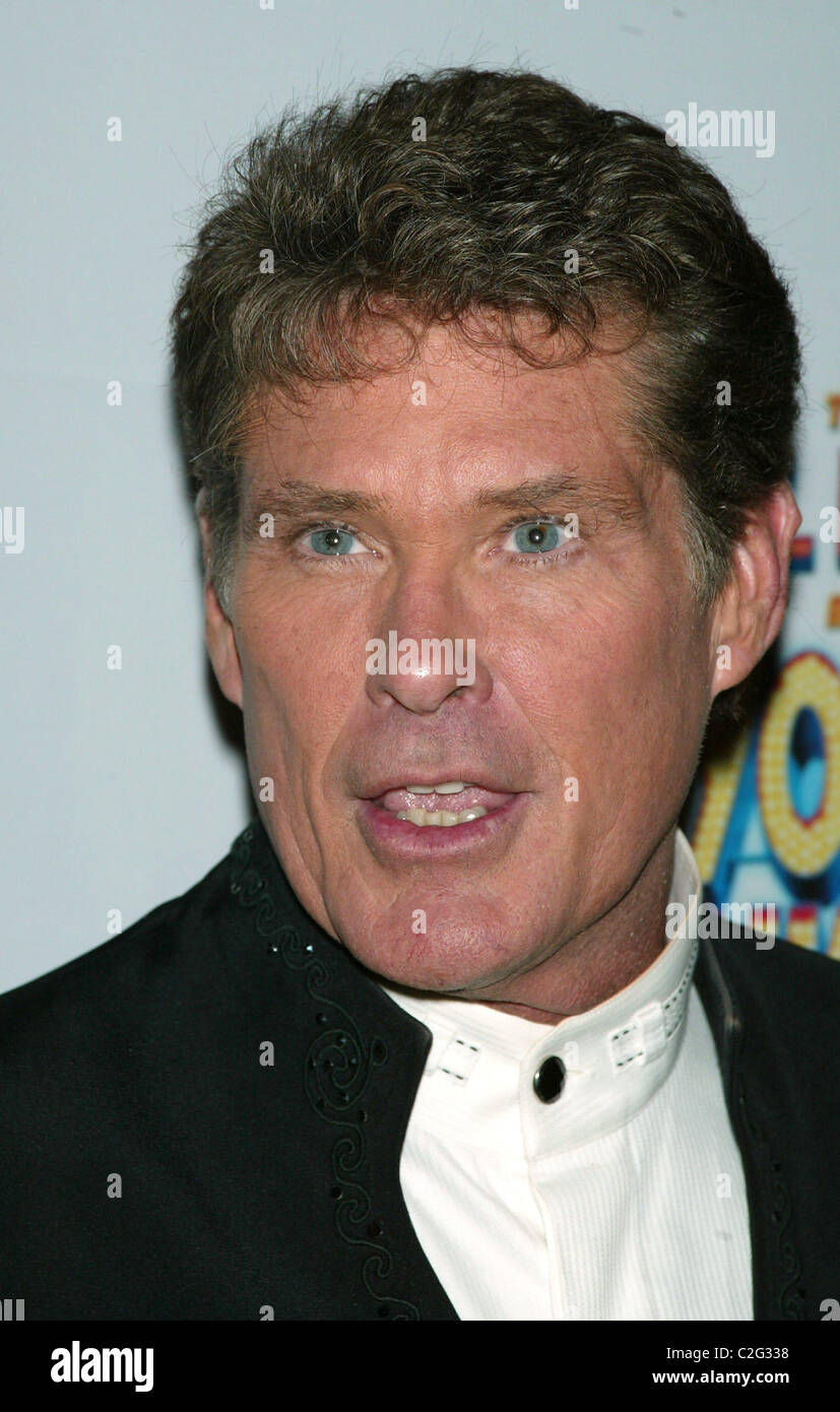 David Hasselhoff Opening Night of the new Mel Brooks musical 'Young ...