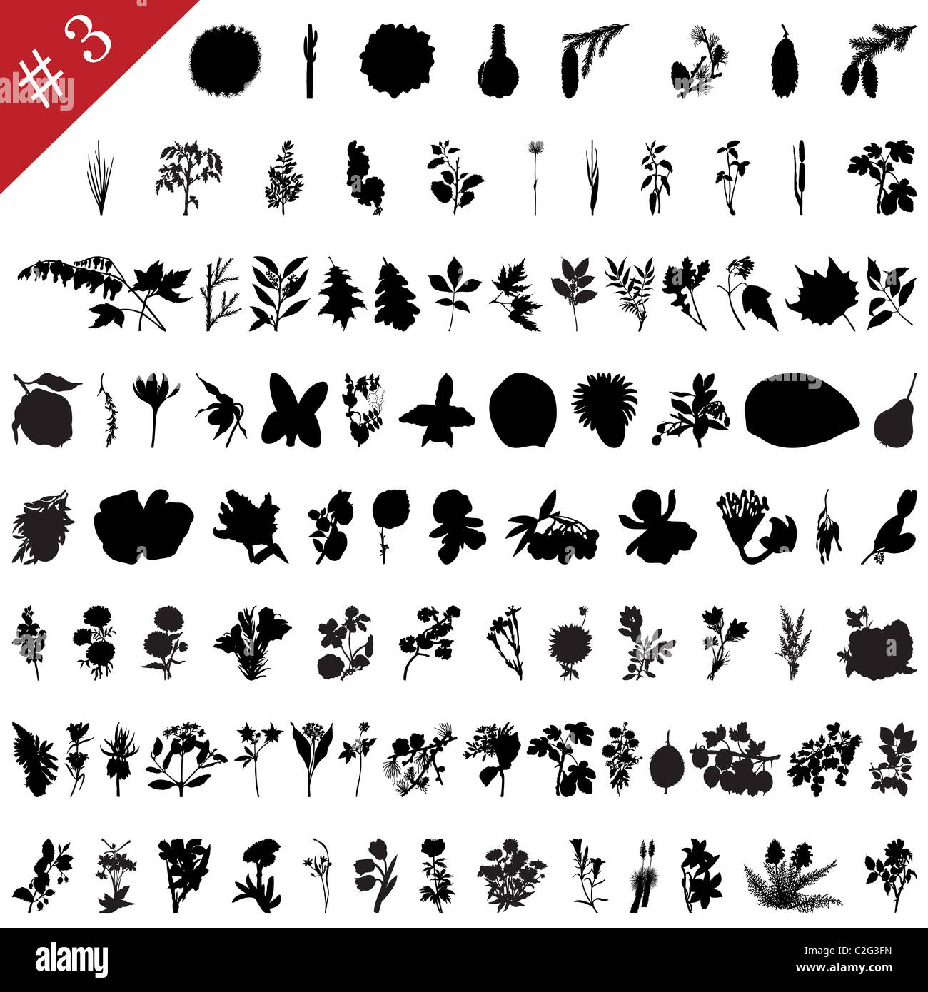 Vector collection of different plants and flowers silhouettes #3 Stock ...
