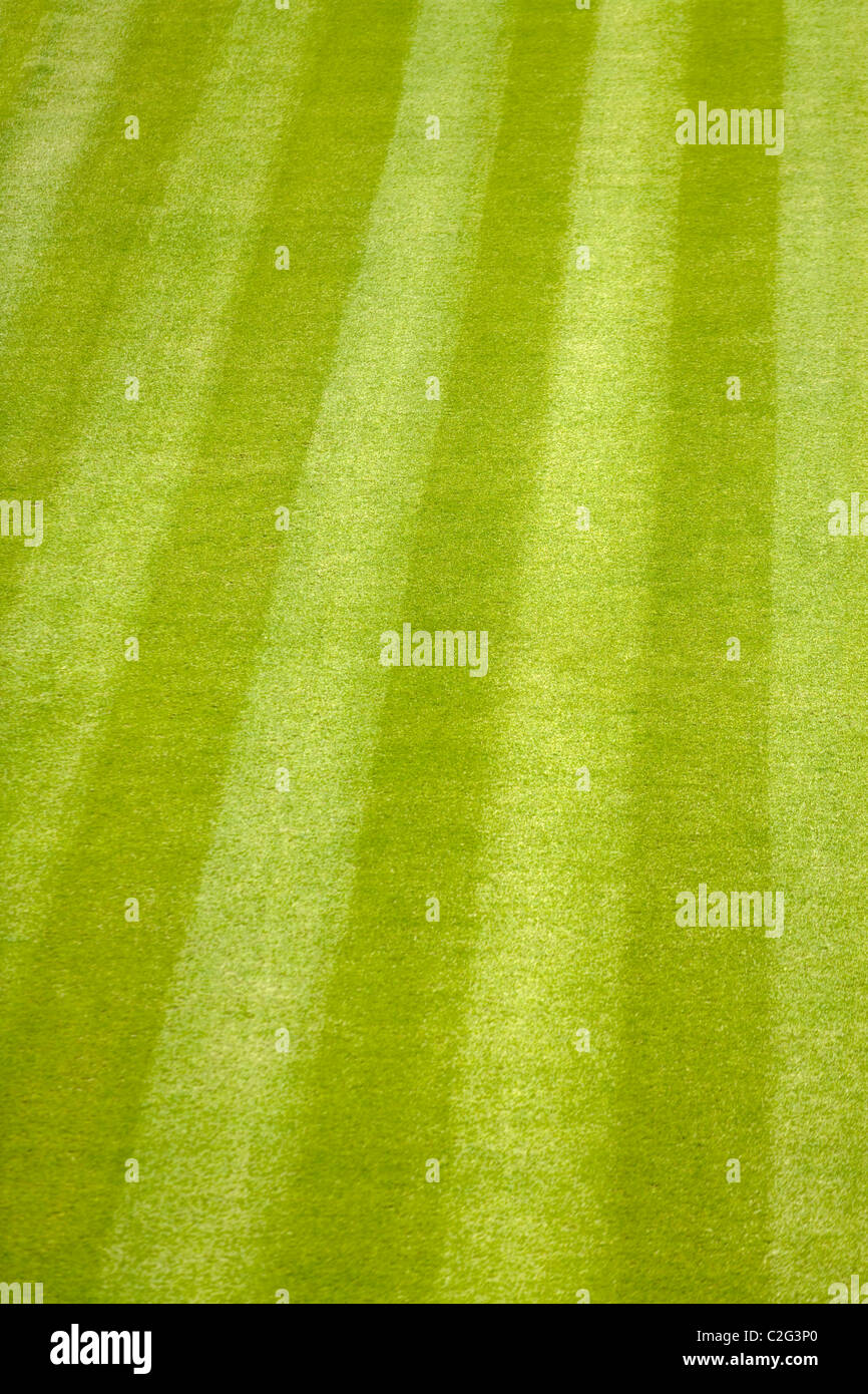 Lawn Stripes and Striped grass on a well defined lawn Stock Photo - Alamy