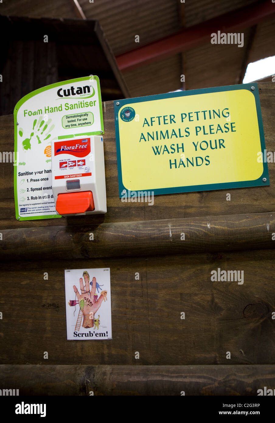 Hand wash at Animal Farm ecoli carrying lamb, Lancashire UK Stock Photo ...