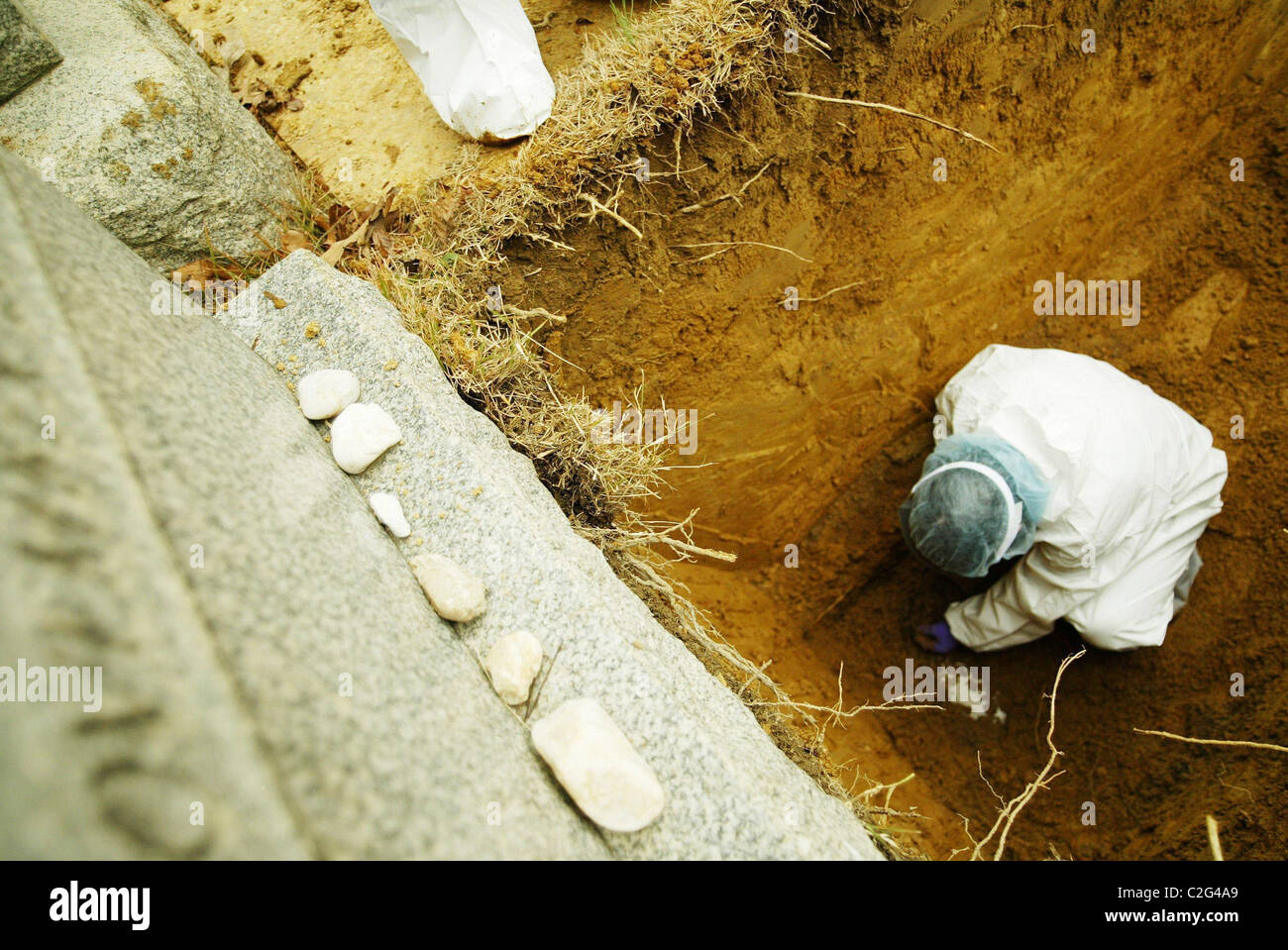 Stephen Theodore Norman's exhumation grandson of Theodore Herzl, the ...