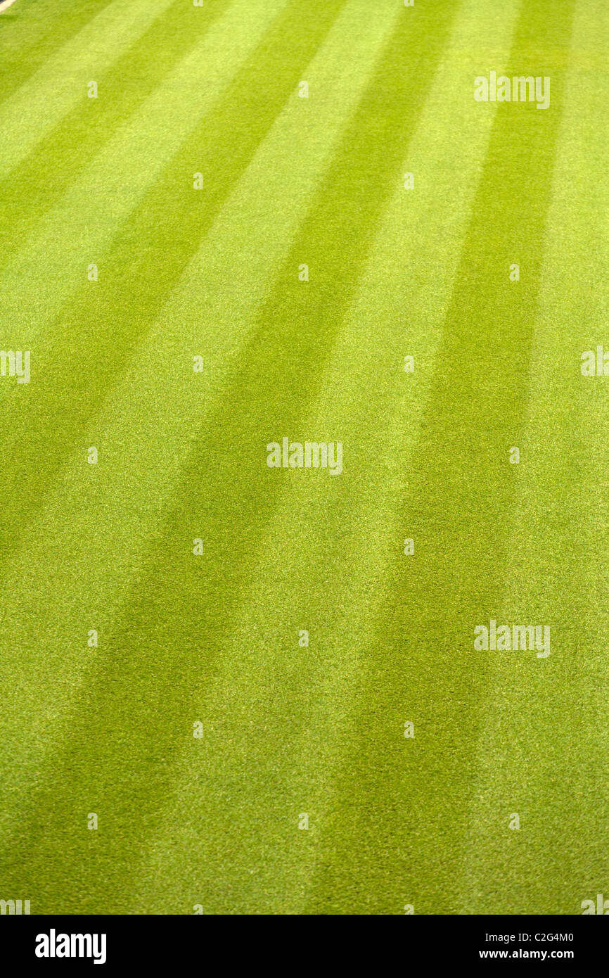 Stripy lawns hi-res stock photography and images - Alamy