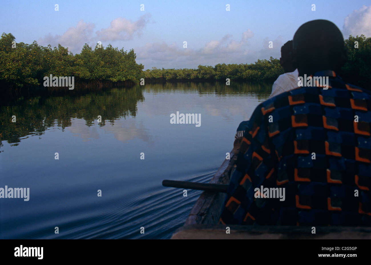 Mangrove swamps gambia hi-res stock photography and images - Alamy