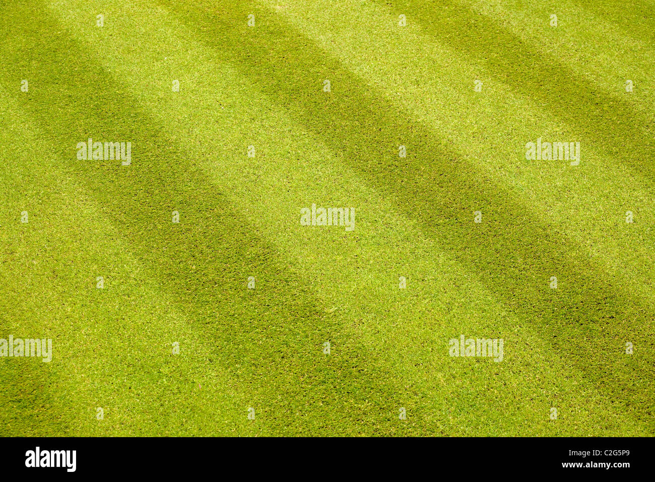 Stripy Lawn With Striped Grass Stock Photo - Alamy