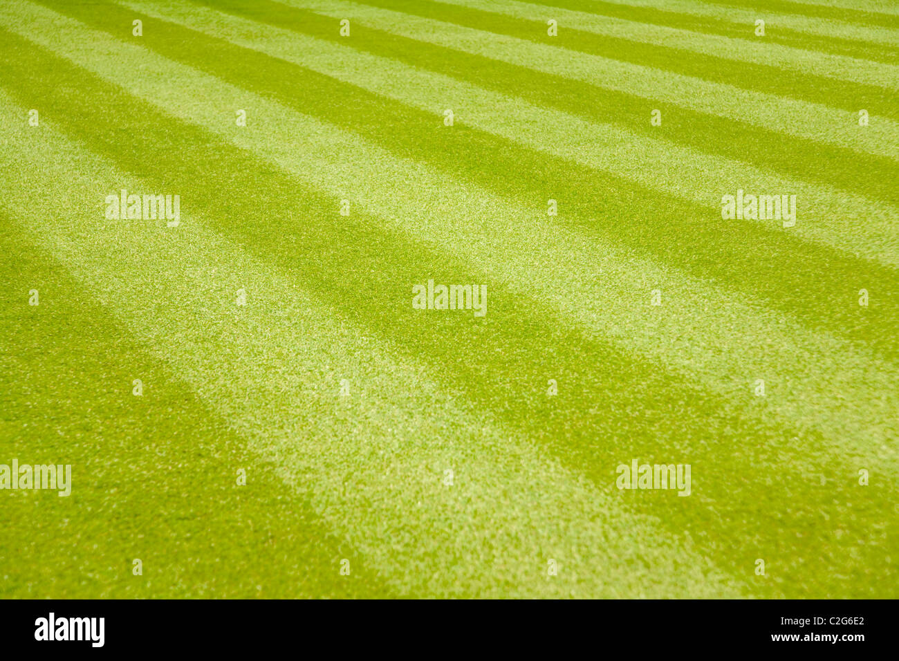 Stripy Lawn With Striped Grass Stock Photo - Alamy