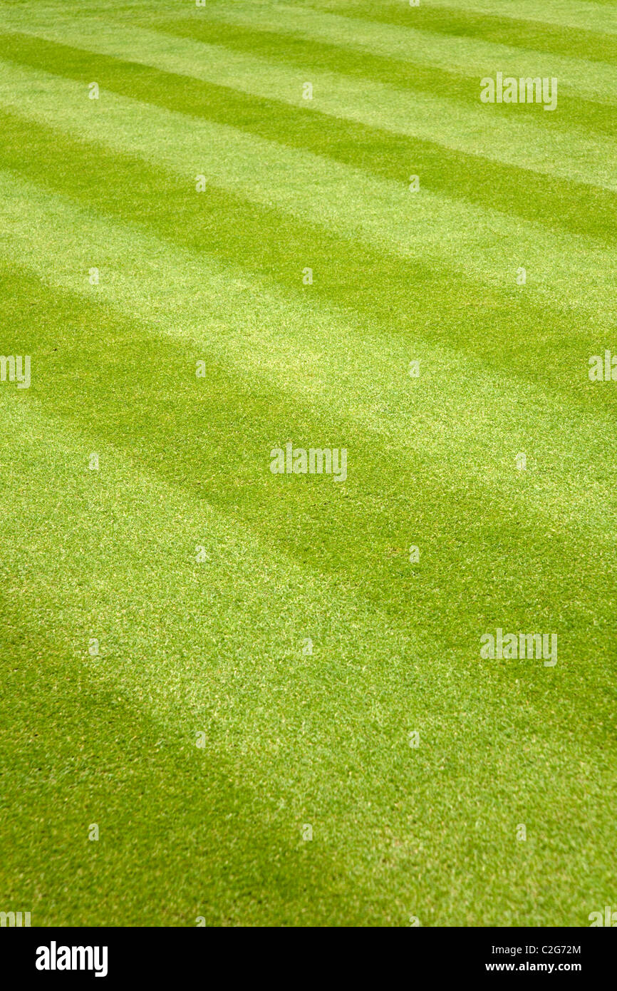 Lawn Stripes and Striped grass on a well defined lawn Stock Photo - Alamy