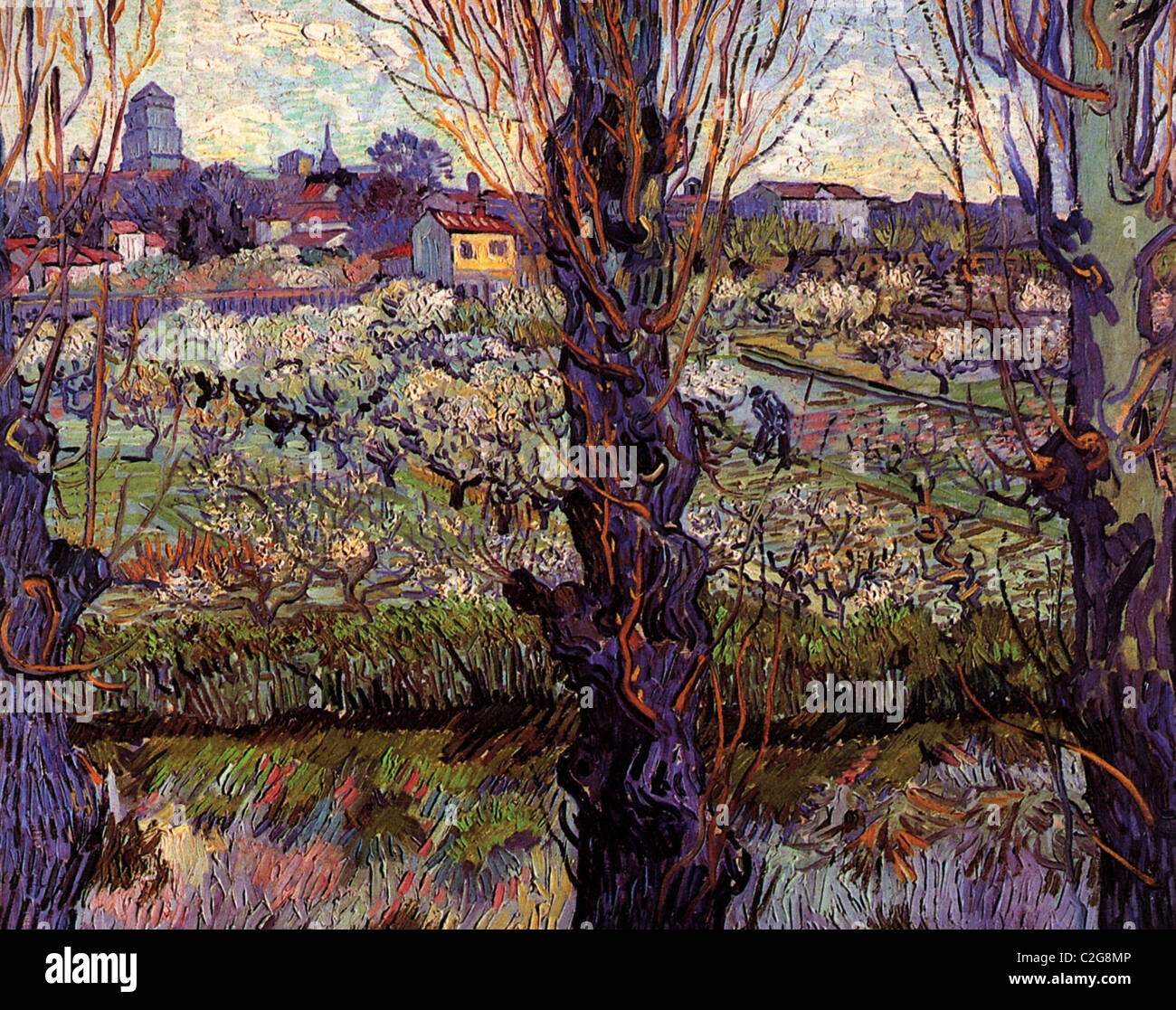 Orchard in Blossom with View of Arles Stock Photo - Alamy