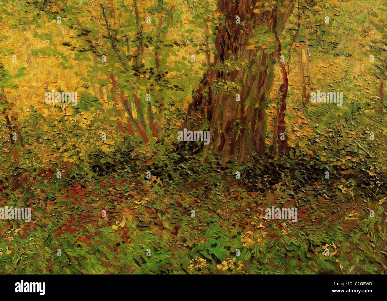 Undergrowth van gogh hi-res stock photography and images - Alamy