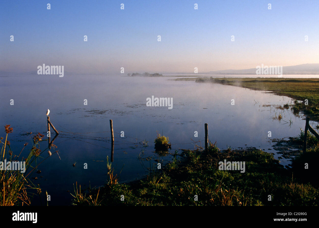 Lake Naivasha Great Rift Valley Kenya Stock Photo - Alamy