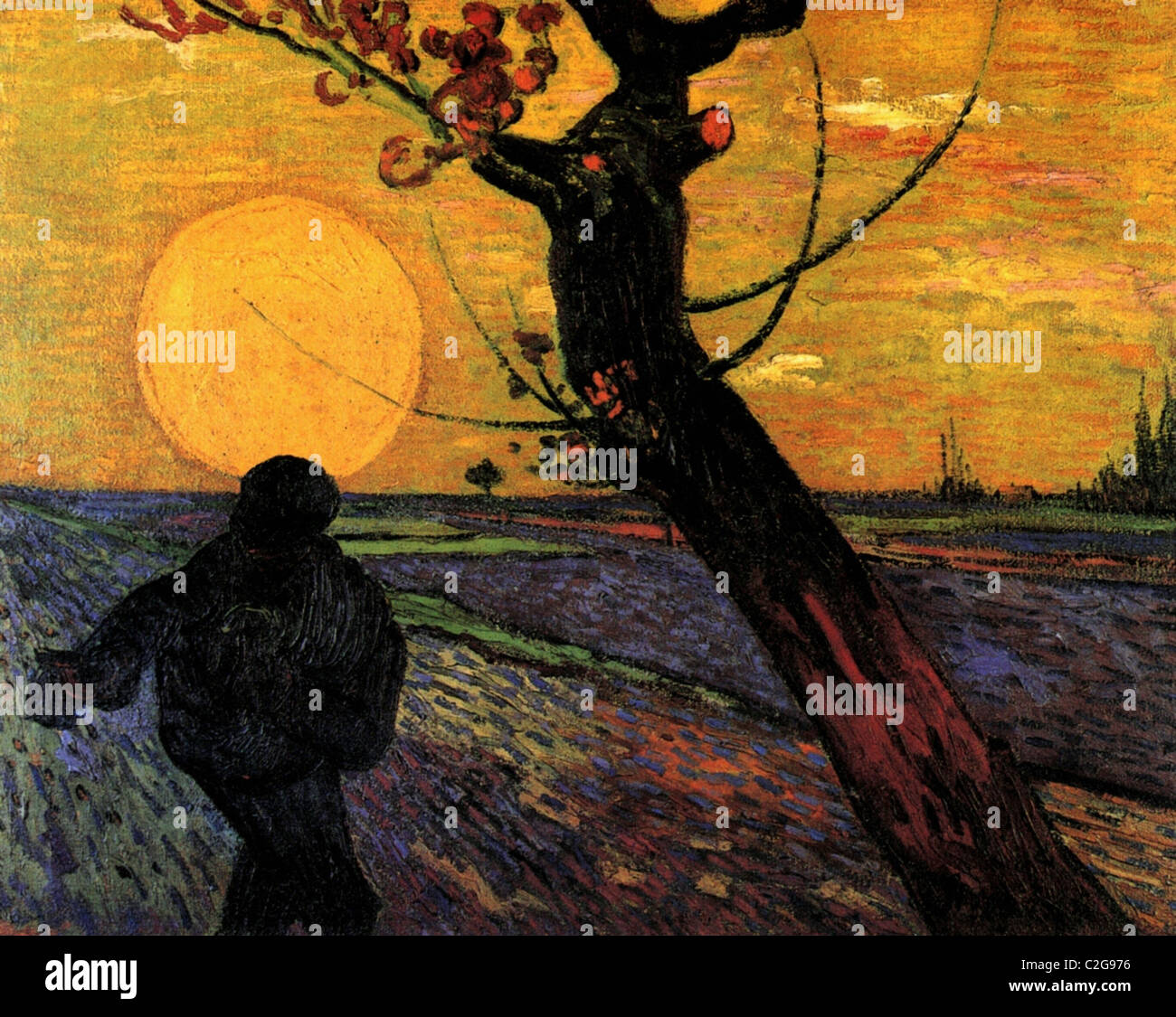 Sower seeds hi-res stock photography and images - Alamy