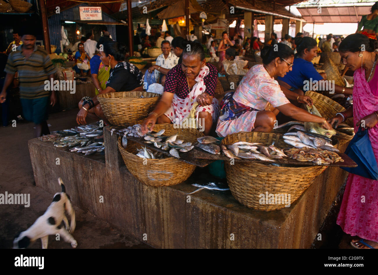 Calangute Goa India Stock Photo - Alamy