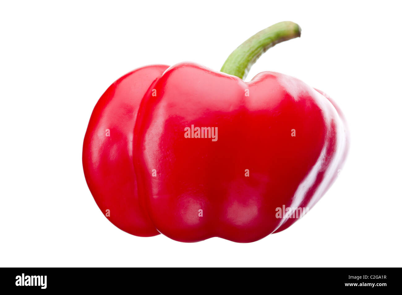 Isolated sweet red bell pepper (Capsicum annuum) on white background ...