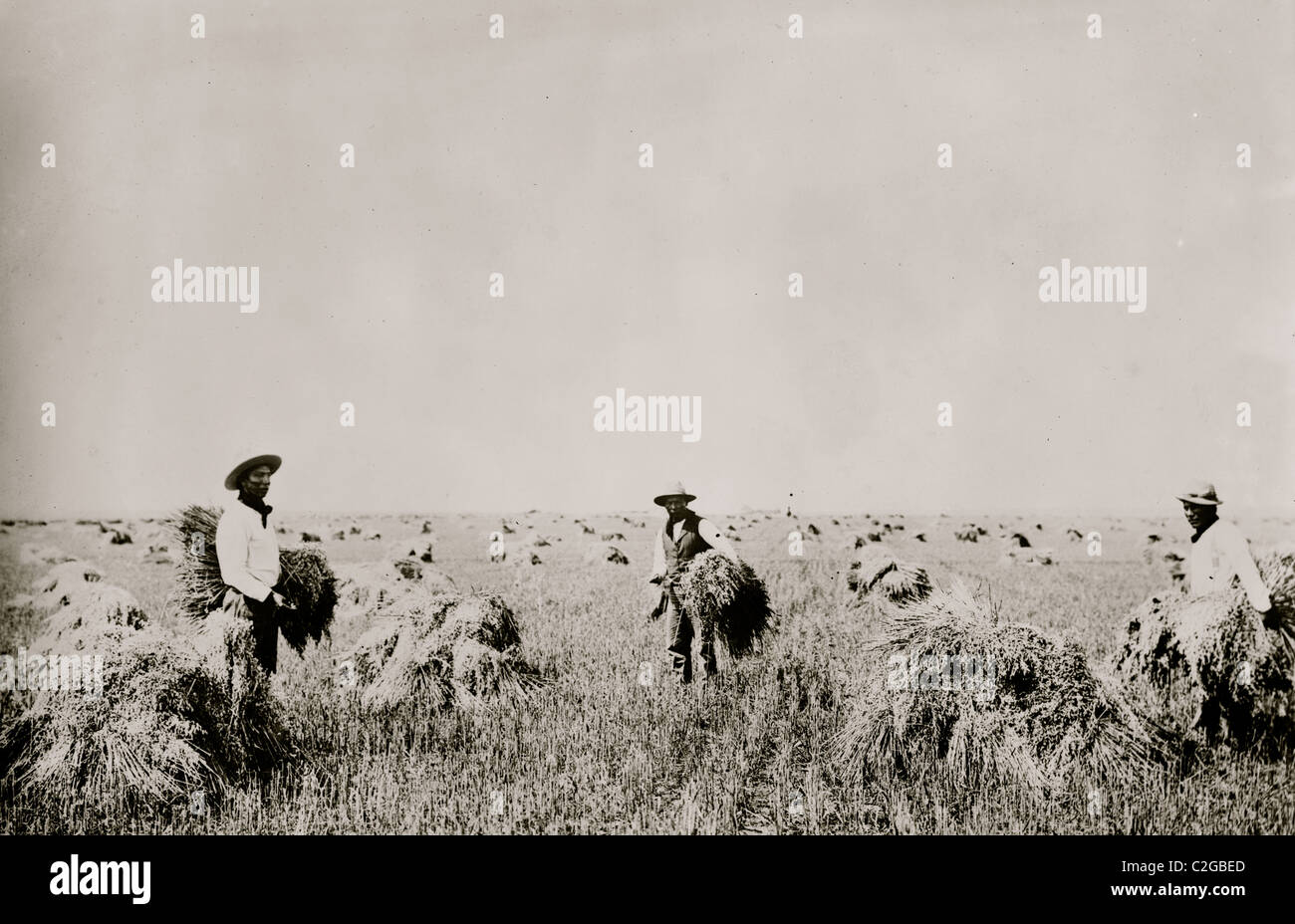 Native americans farming hi-res stock photography and images - Alamy