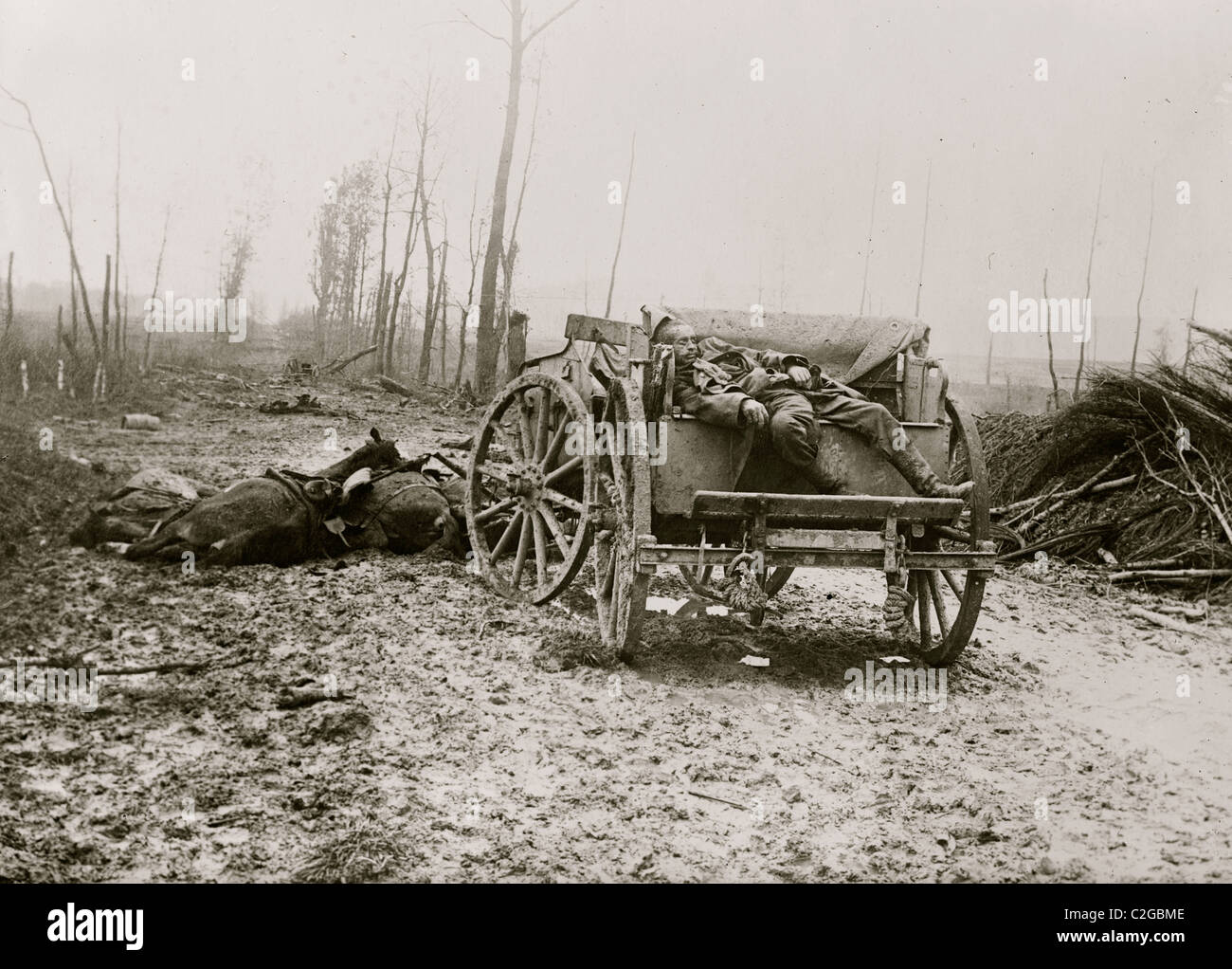 German war dead hi-res stock photography and images - Alamy
