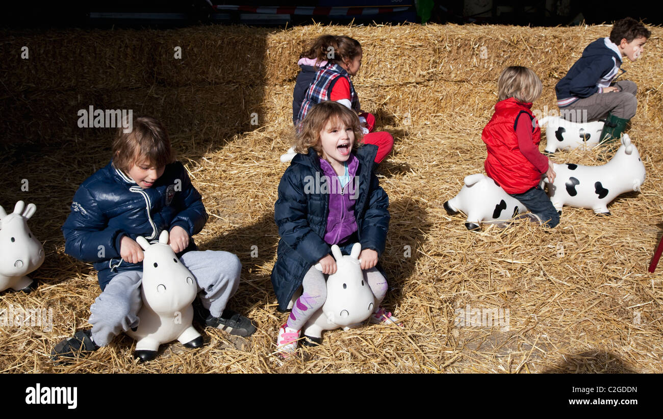 Plastic Cows High Resolution Stock Photography and Images - Alamy