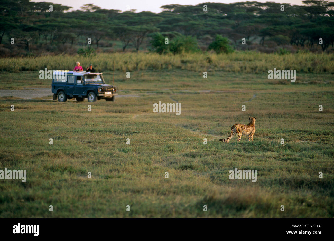 Ndutu Valley Tanzania Stock Photo - Alamy