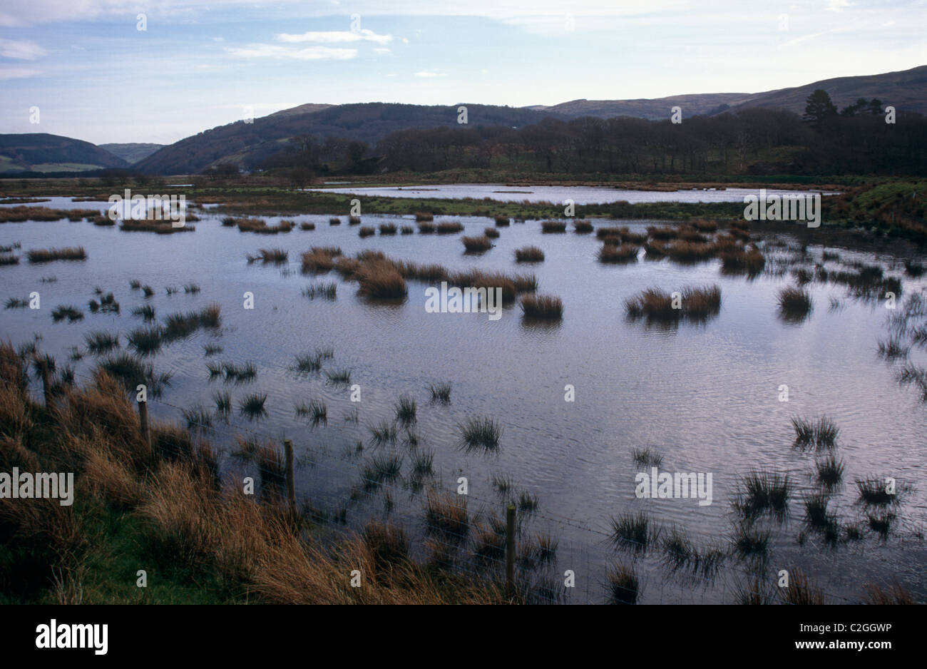 Wetland reserve bird wales hi-res stock photography and images - Alamy