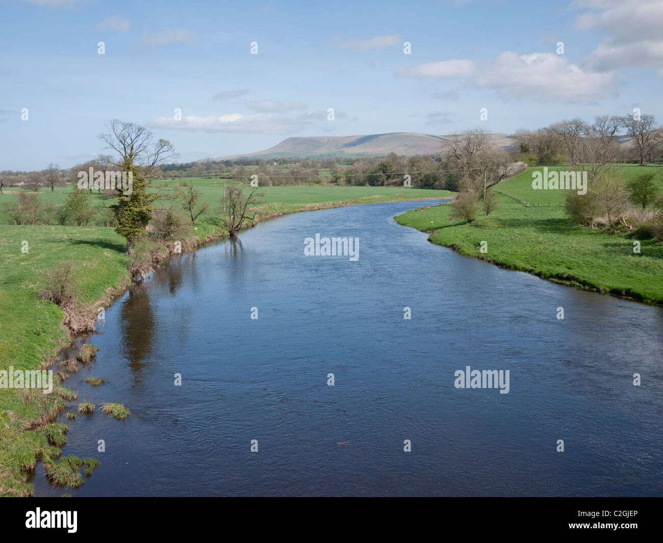 River ribble clitheroe hi-res stock photography and images - Alamy