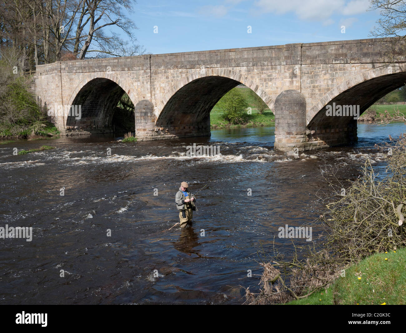 Trout Fisherman on the River Ribble at Mitton Bridge, Great Mitton ...