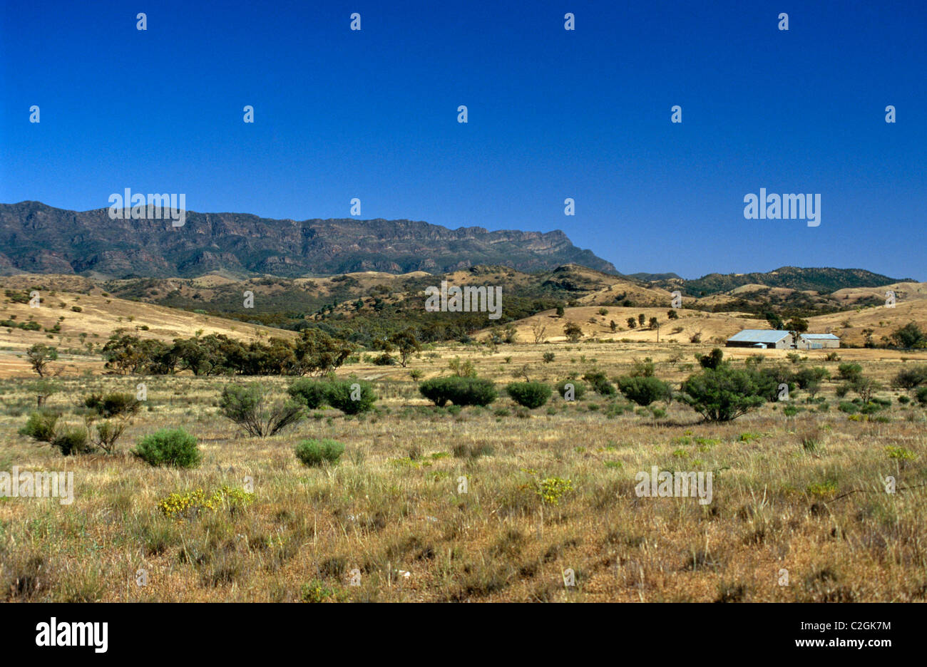 Sheep station australia hi-res stock photography and images - Alamy