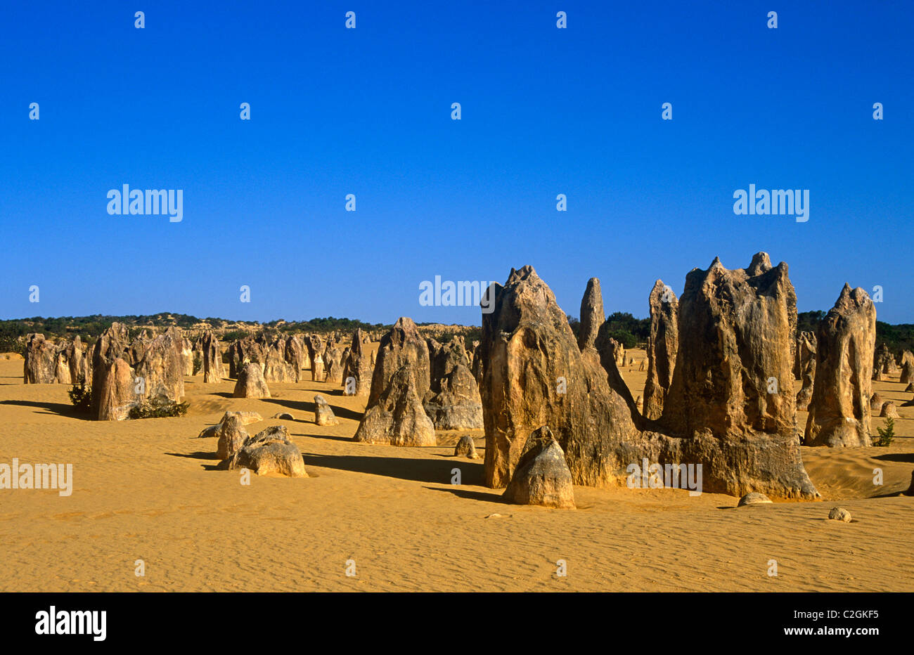 The Pinnacles Western Australia Australia Stock Photo - Alamy