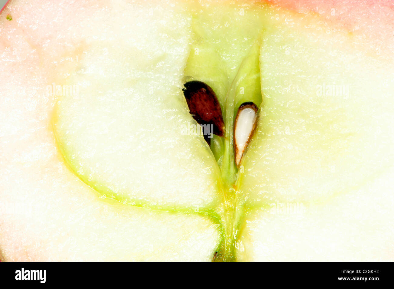 apple, sweet, colors, clouse up, nature, design, natural, food, healthy ...