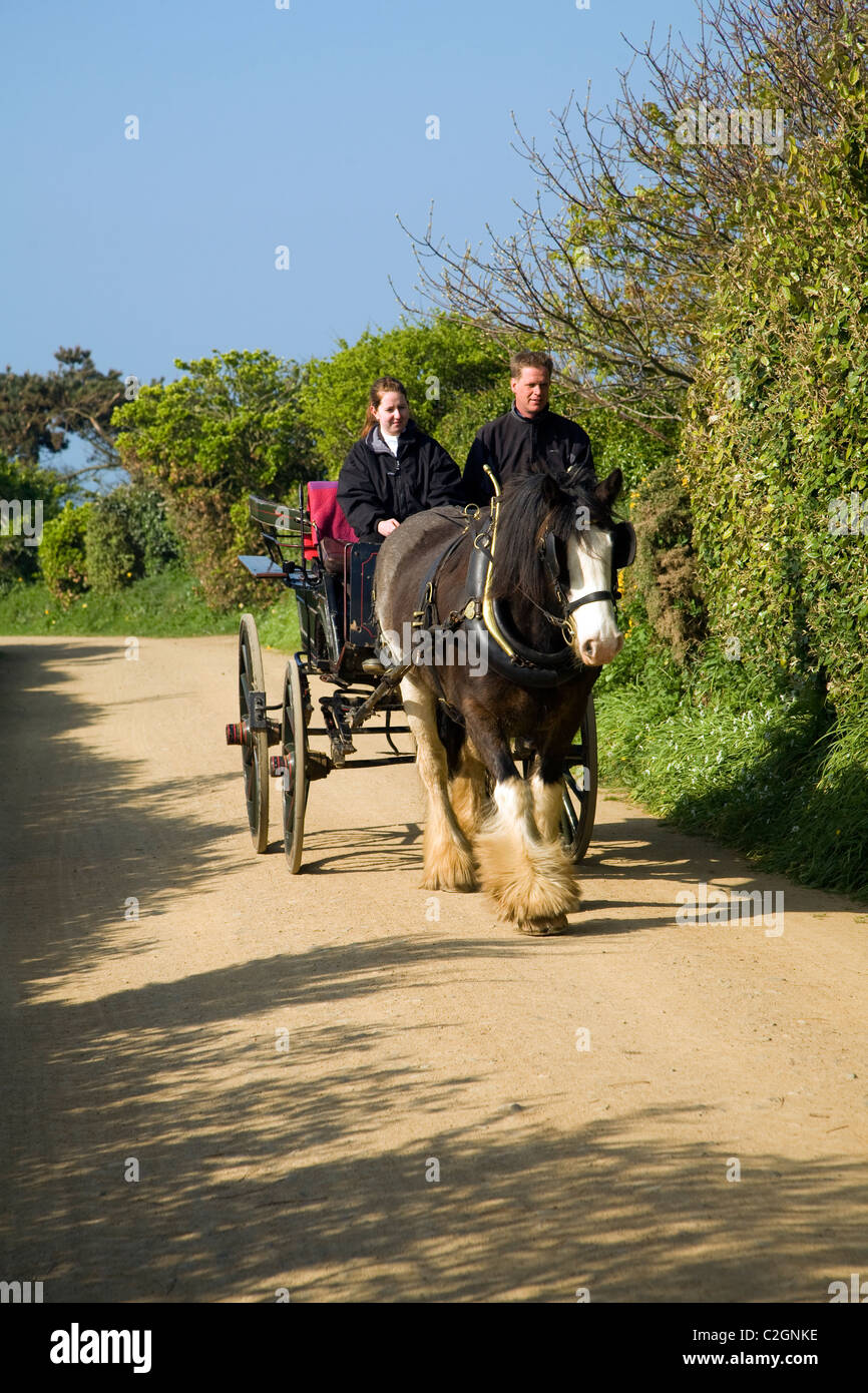 Horse carriage ride island Sark Channel Islands Stock Photo - Alamy