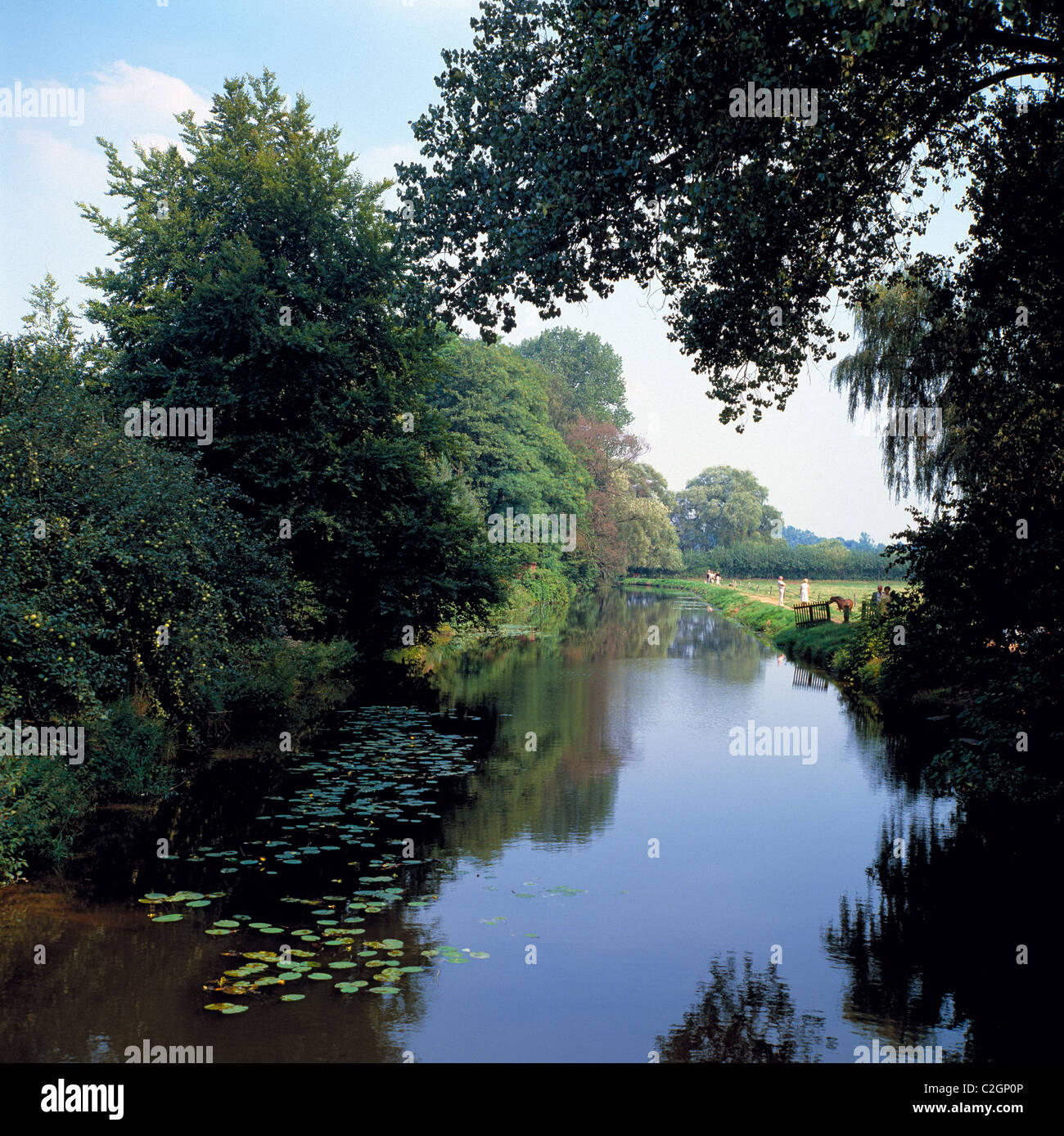 Flusslandschaft der issel in hamminkeln marienthal hi-res stock ...
