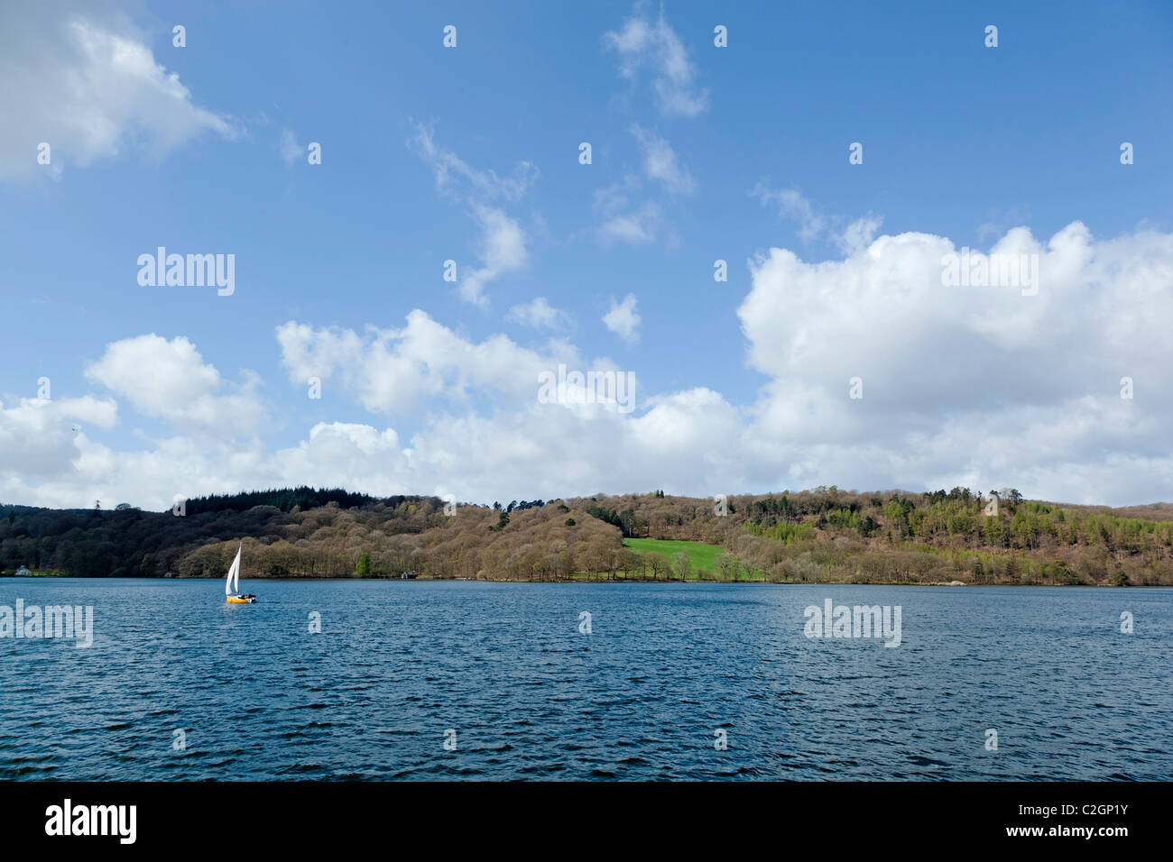 A lone yacht sails on lake Windermere under a blue sky Stock Photo - Alamy