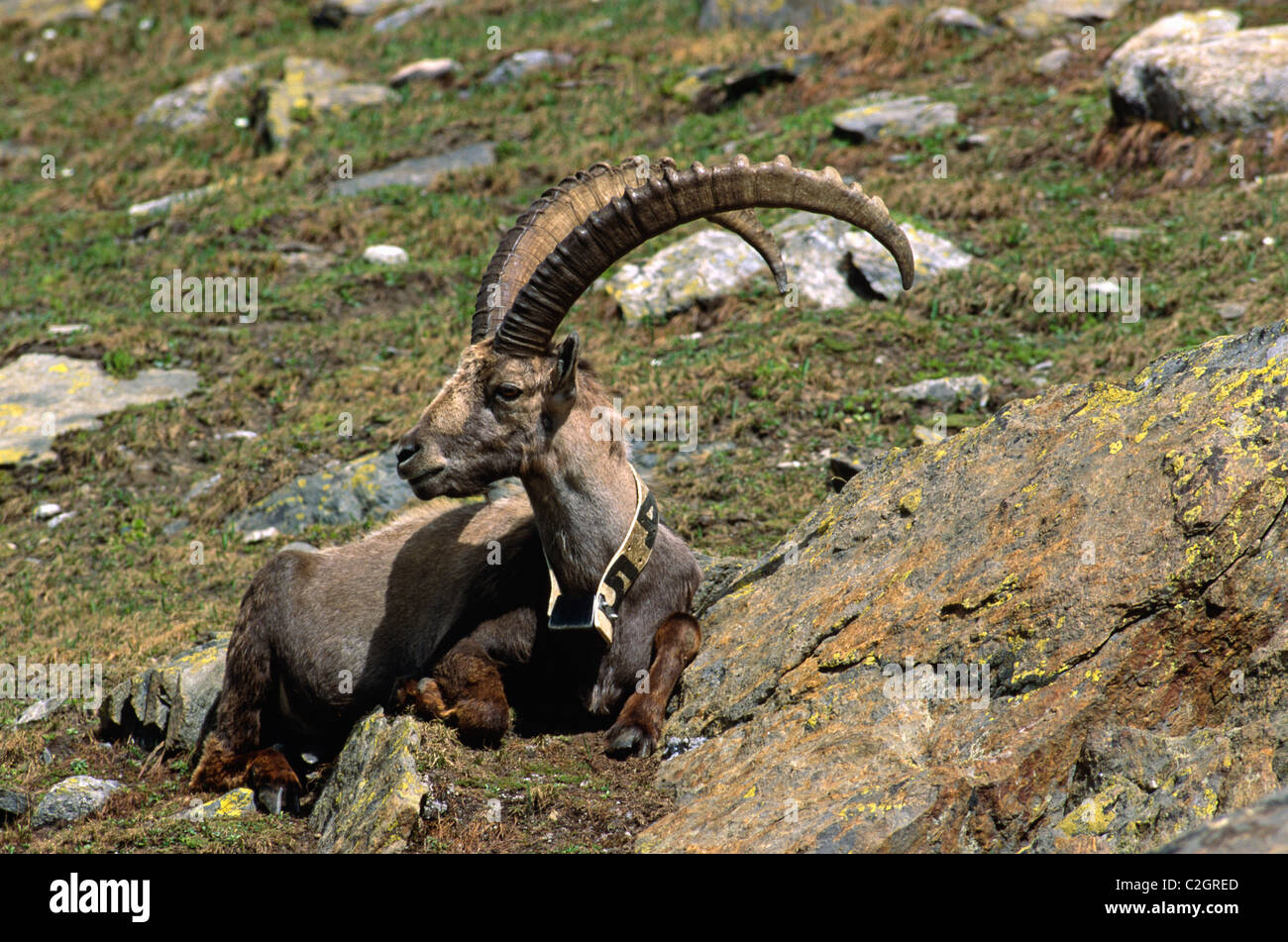 Stanbecco hi-res stock photography and images - Alamy