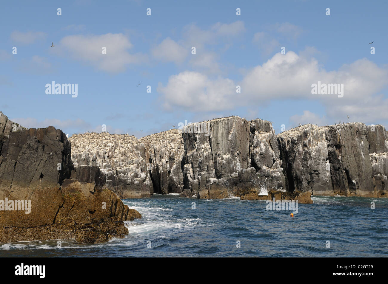 Inner Farne Farne Islands England Stock Photo - Alamy