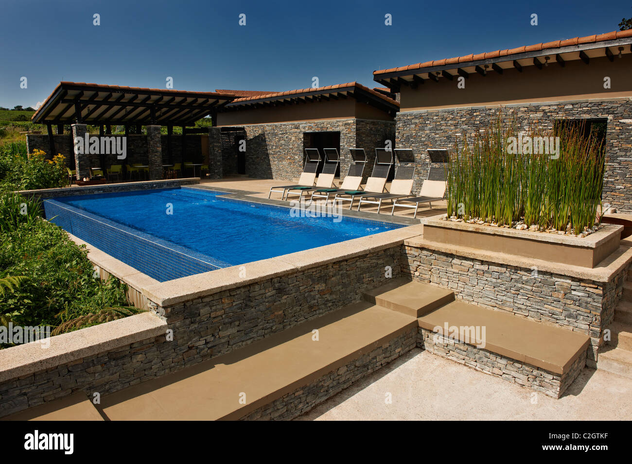 swimming pool in five star luxury Nyungwe Forest Lodge, Parc National ...