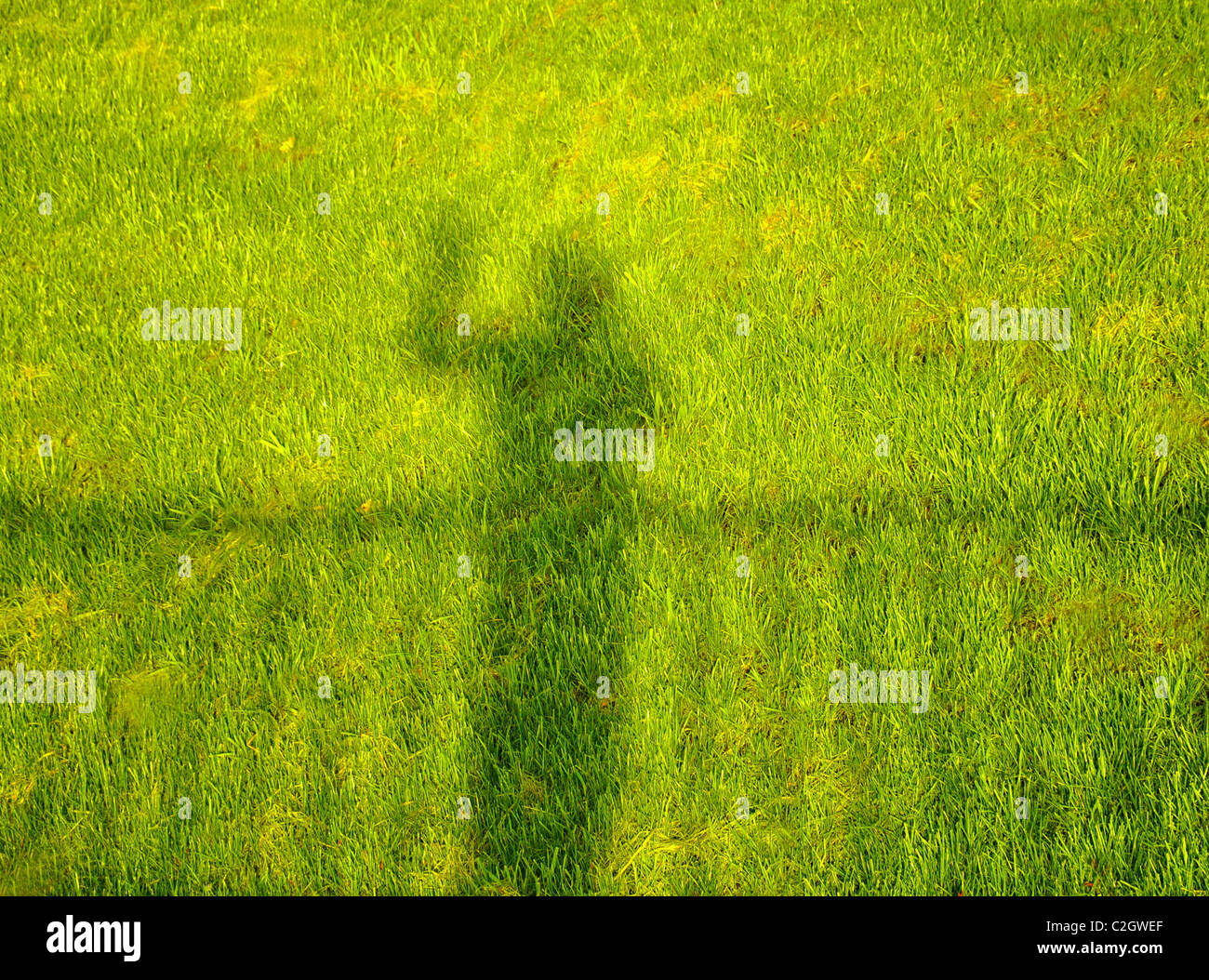 Salute shadow hi-res stock photography and images - Alamy