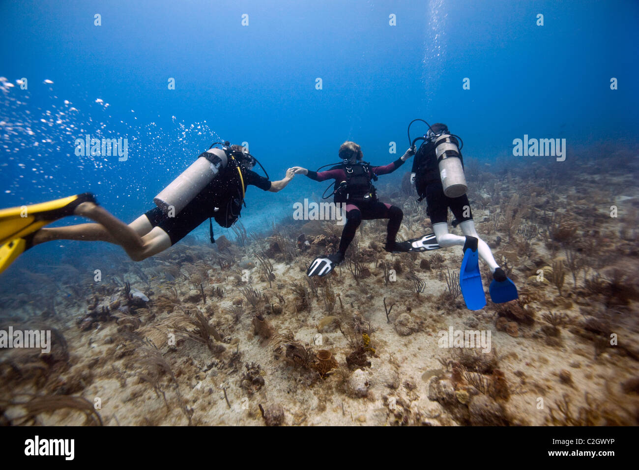 A dive instructor leads two novice divers on their first dive in the ...