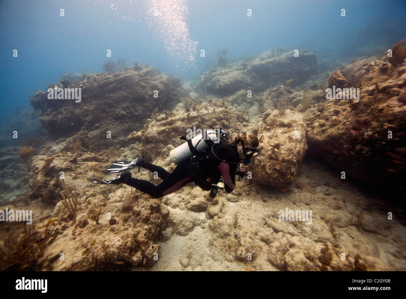 Diver in underwater diving hi-res stock photography and images - Alamy
