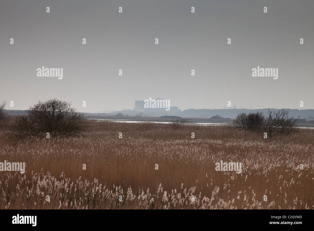 Minsmere RSPB Nature Reserve Stock Photo - Alamy