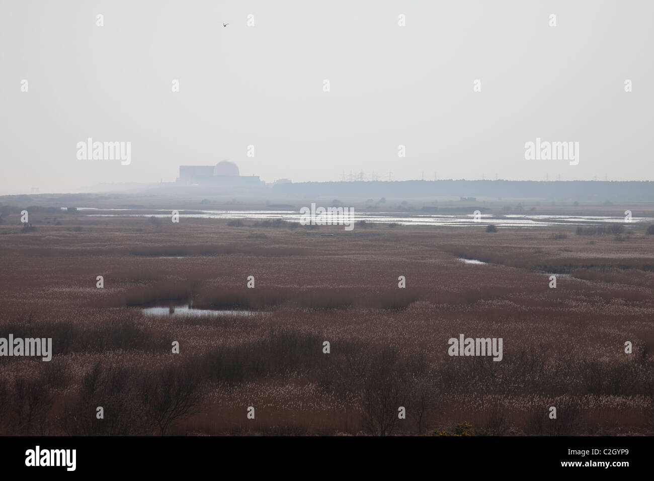 Minsmere RSPB Nature Reserve Suffolk Stock Photo - Alamy