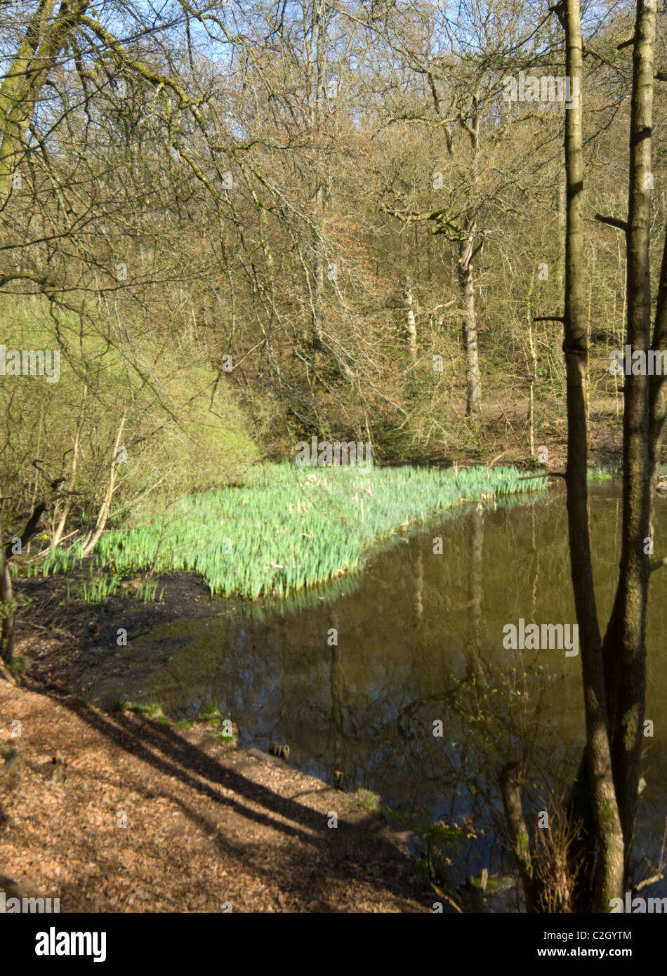 Wagonners wells hi-res stock photography and images - Alamy