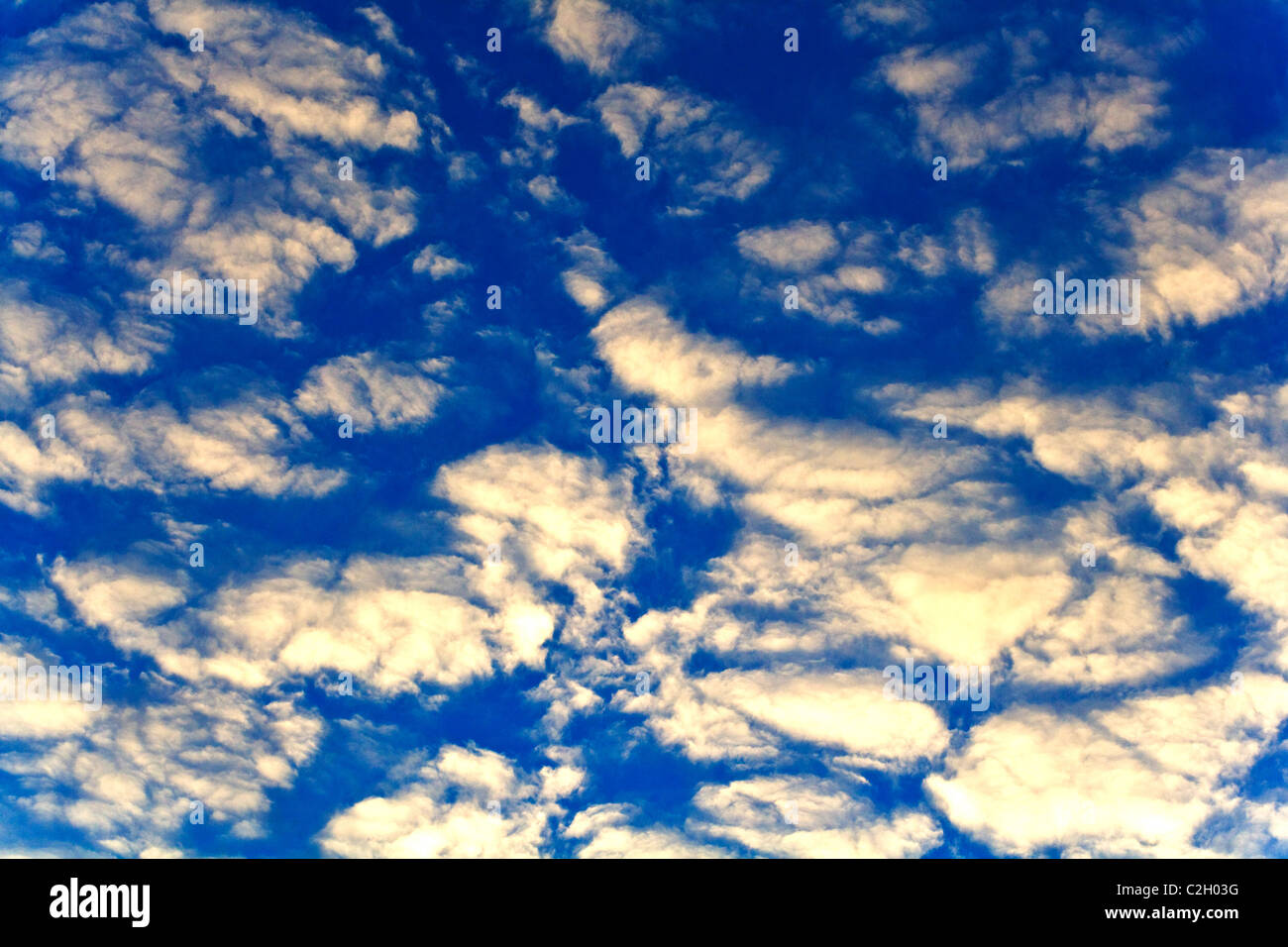 An evening sky with thickening altocumulus cloudlets Stock Photo - Alamy