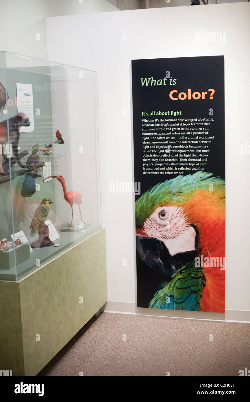 "What is Color Exhibit?" at the Harvard Museum of Natural History Stock ...
