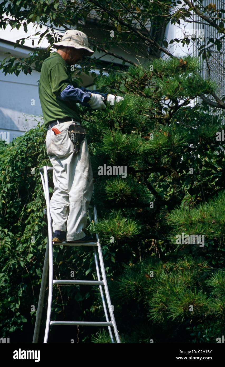 Kochi Shikoku Island Japan Stock Photo - Alamy