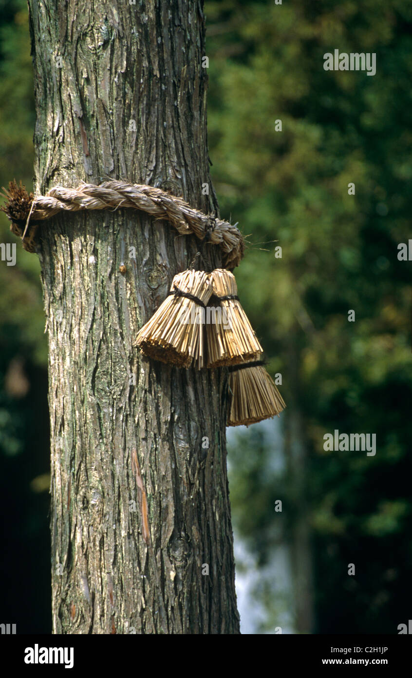 Shikoku Japan Stock Photo - Alamy