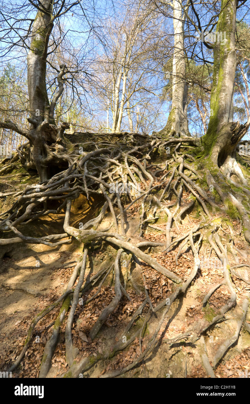 Wagonners wells hi-res stock photography and images - Alamy