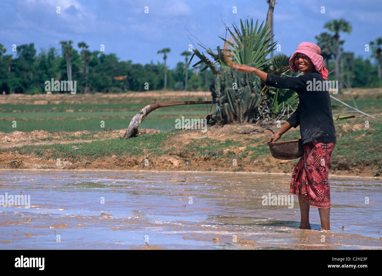 Mesang Cambodia Stock Photo - Alamy