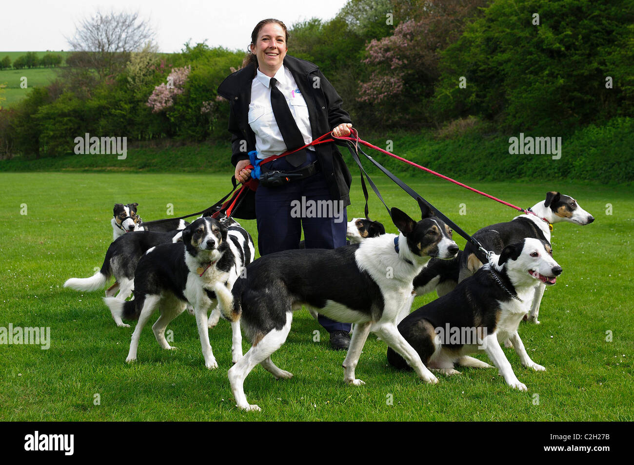 Rachel bell hi-res stock photography and images - Alamy