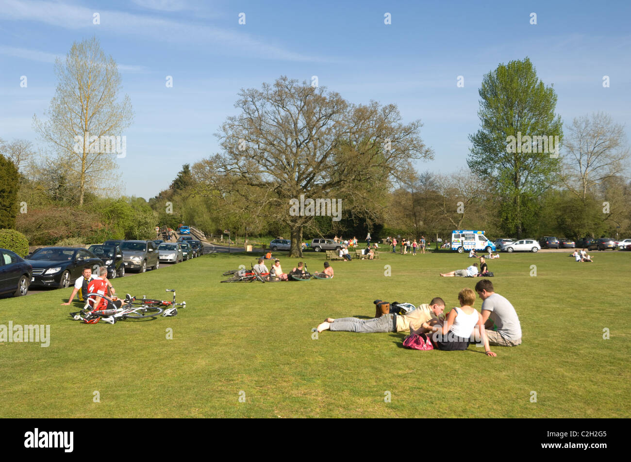 Tilford Green near Farnham Surrey UK Stock Photo - Alamy