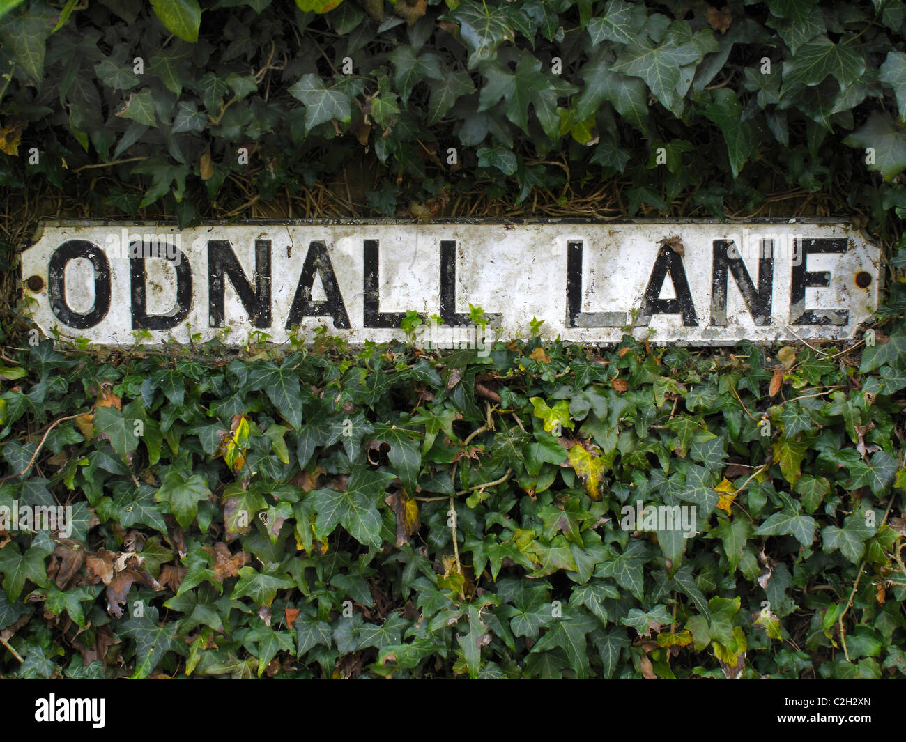 Road sign covered by foliage hi-res stock photography and images - Alamy